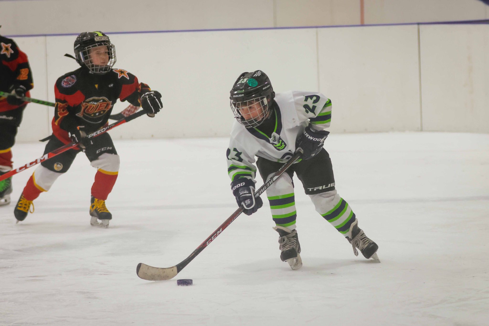 Ice Rink Management Consultants - SFC